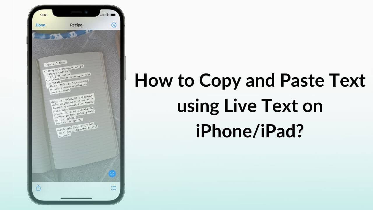 How To Copy And Paste Text Using Live Text On IPhone iPad TechieTechTech