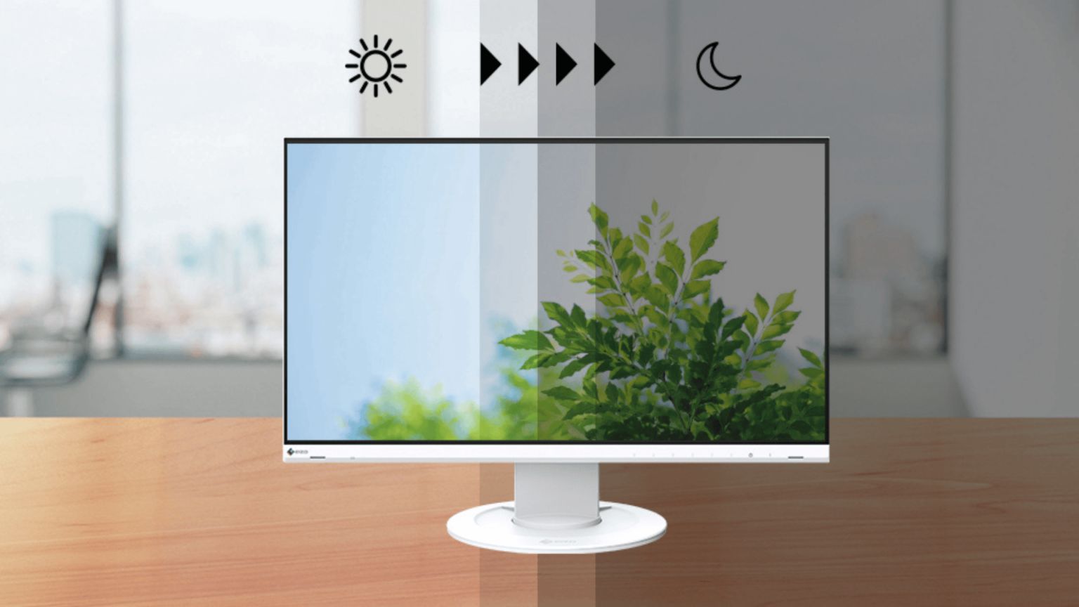 The 5 Best Monitors For Eyestrain in 2023 [Buying Guide] - TechieTechTech